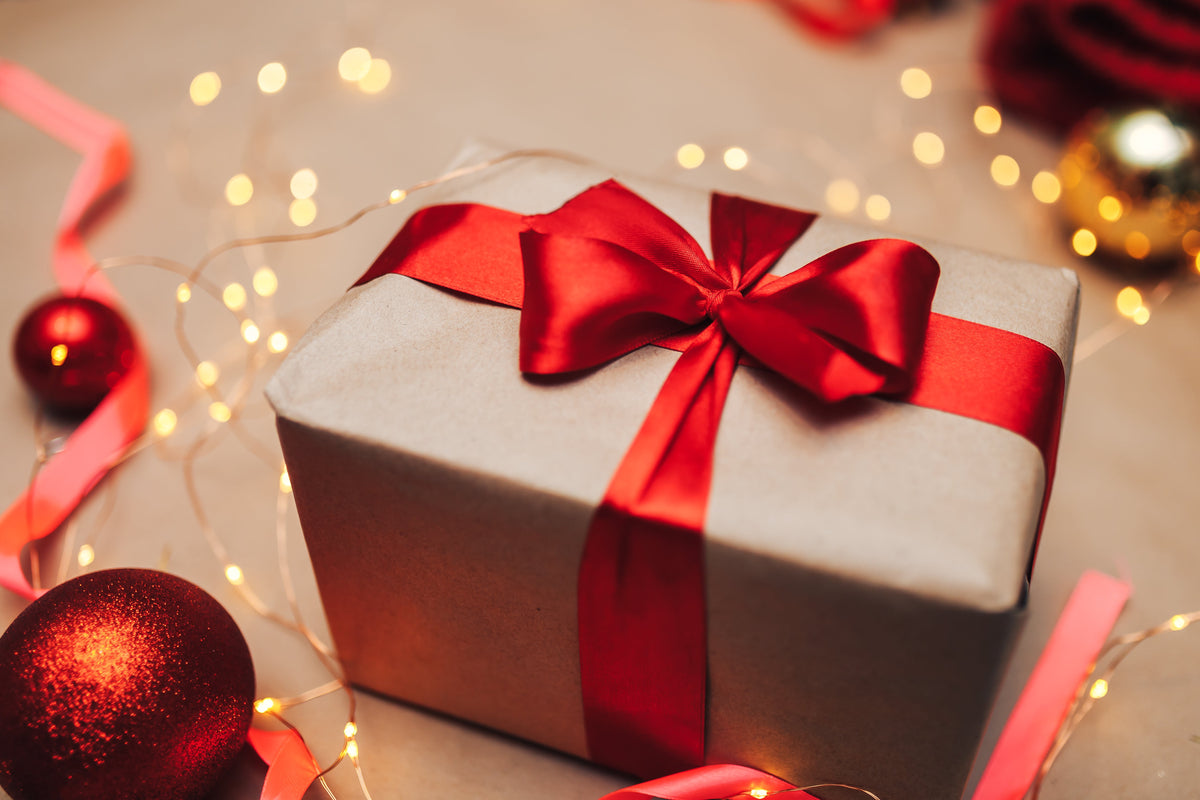 This Year Give a Gift That Lasts – Brio Water